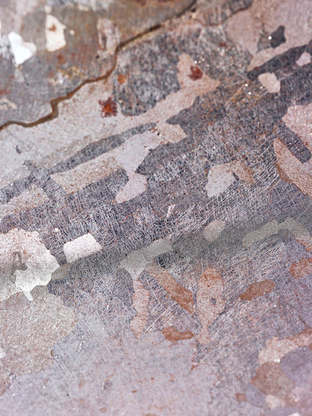 Natural History Auctions: Fossils & Meteorites, UK & Online